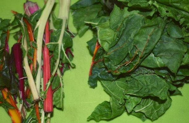 Steamed Swiss Chard Recipe - These Old Cookbooks
