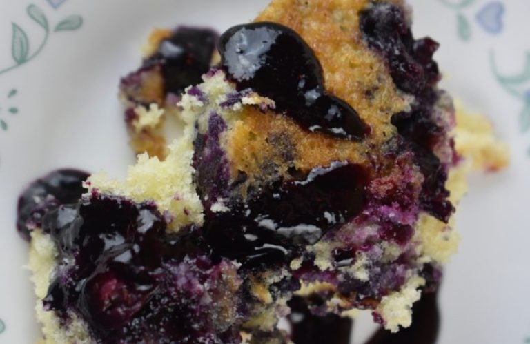 Blueberry Pudding Cake Recipe - These Old Cookbooks
