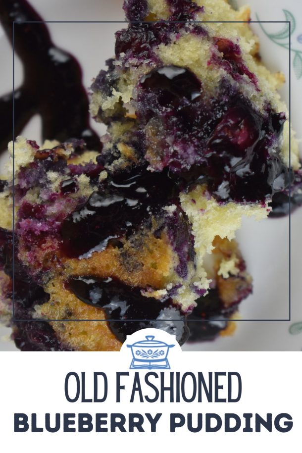 Blueberry Pudding Cake Recipe - These Old Cookbooks
